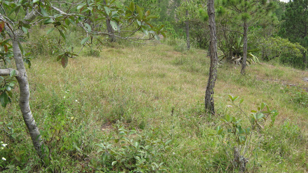 Macuelizo, Valle de Angeles - JCC Bienes Raices Honduras