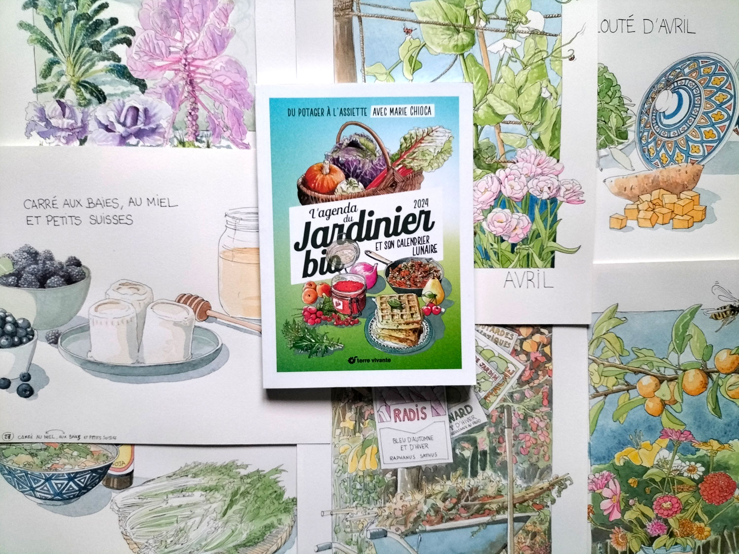 ILLUSTRATIONS - Anne Tiana Jamati, graphisme, illustration et jardins