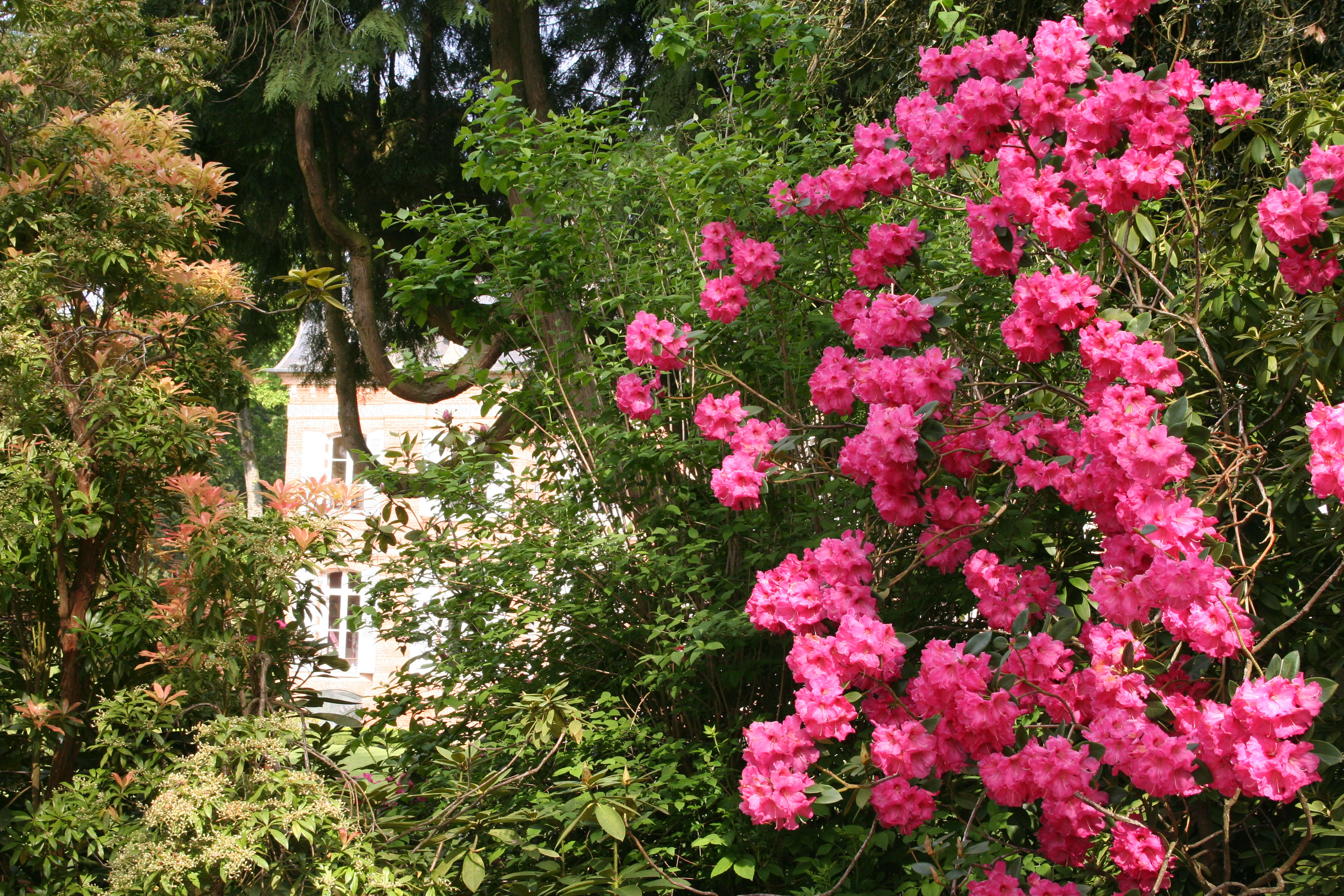 Le Jardin de Roses du Parc floral de Digeon - Parc Floral du Château de ...