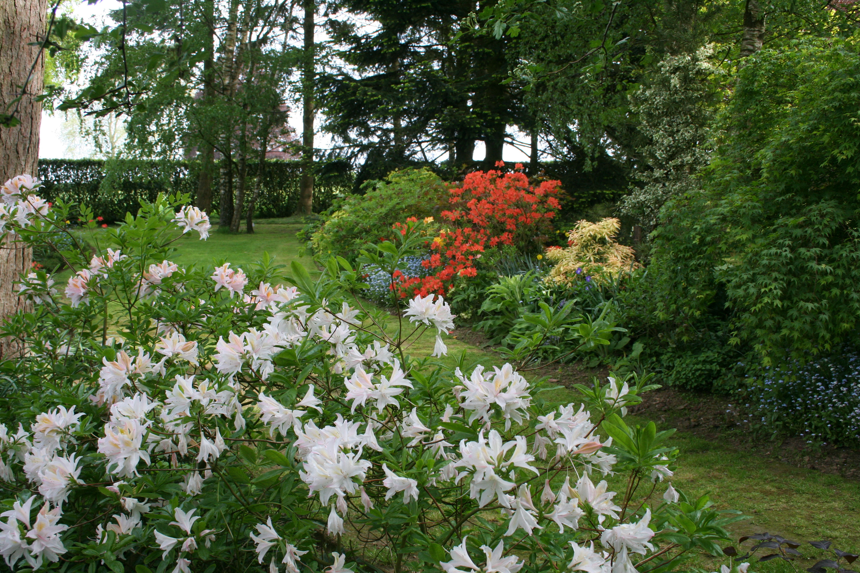 Le Parc à l'anglaise de Digeon - Parc Floral du Château de Digeon ...