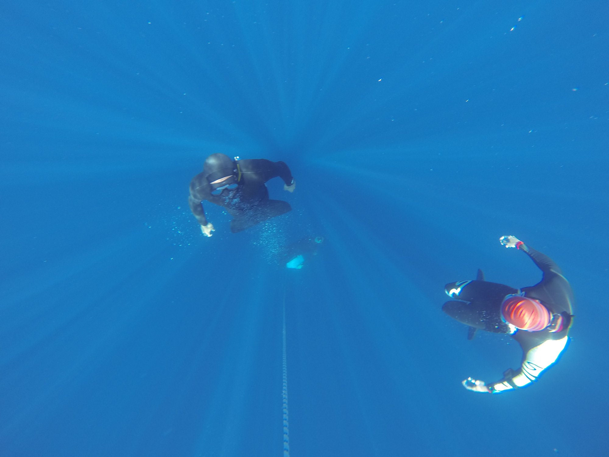 Freediving - Ocean Friends buceo y apnea | Buceo en Tenerife ...