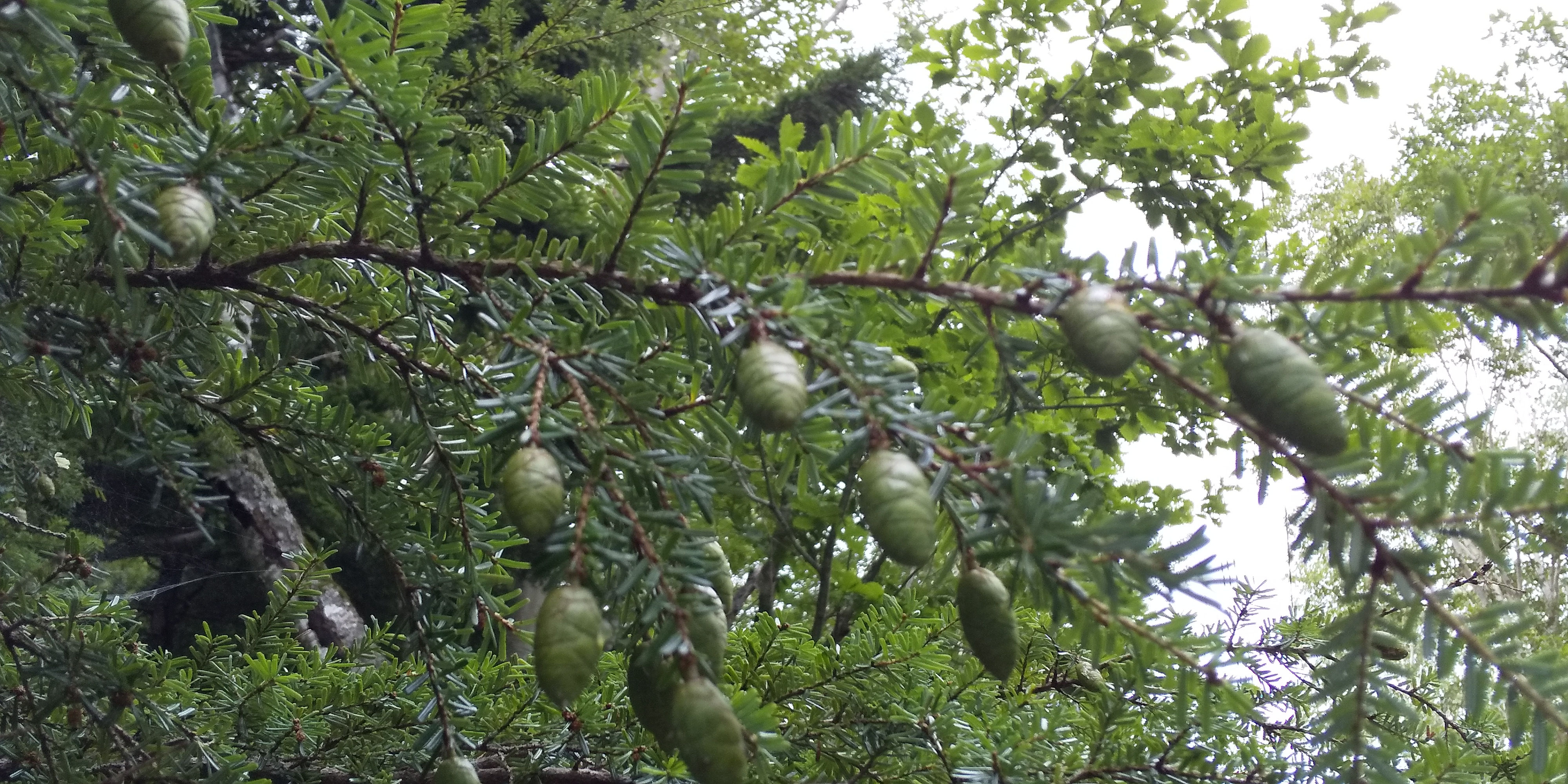 内部研修 - nign-japan ページ！