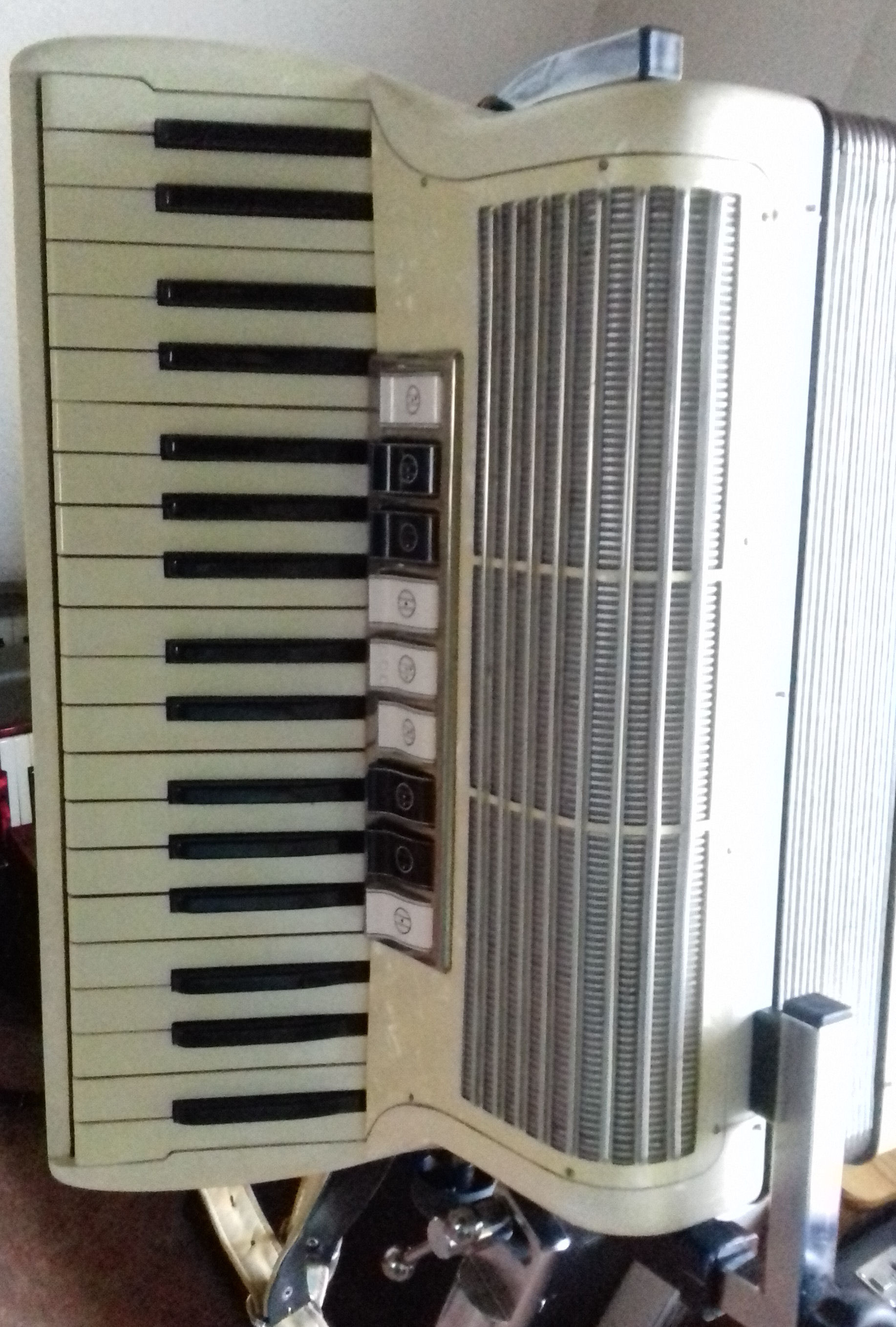 Hohner Tango II M in weiss - akkordeonss Webseite!
