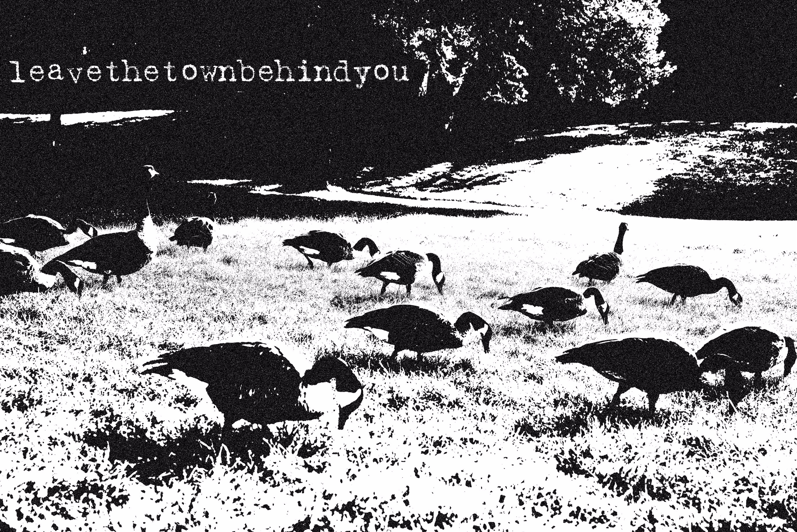 projekt-zwoelf-elf - Schweighöfer Fotografie