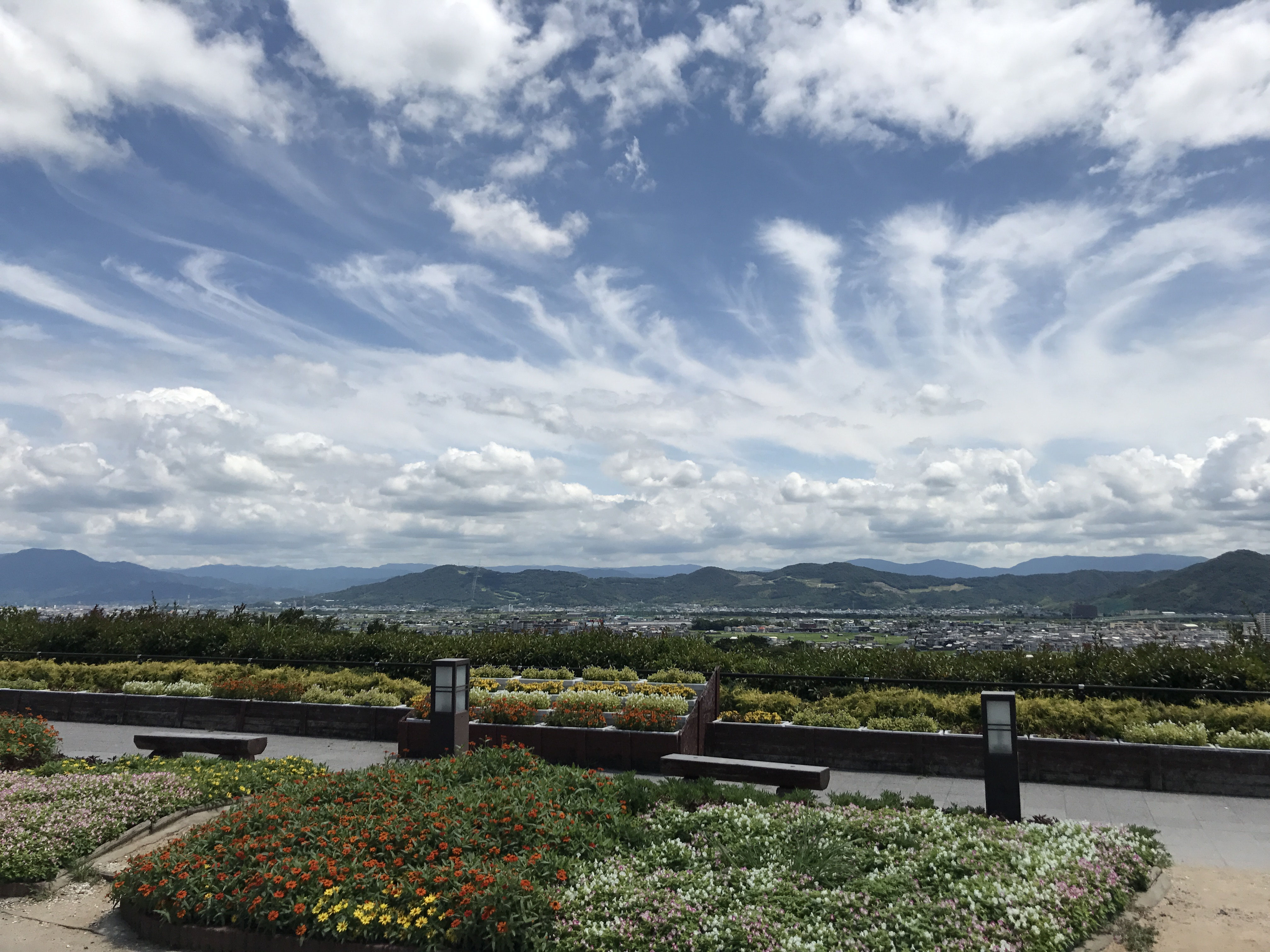 Arida / Wakayama - MR. WALKING TOUR