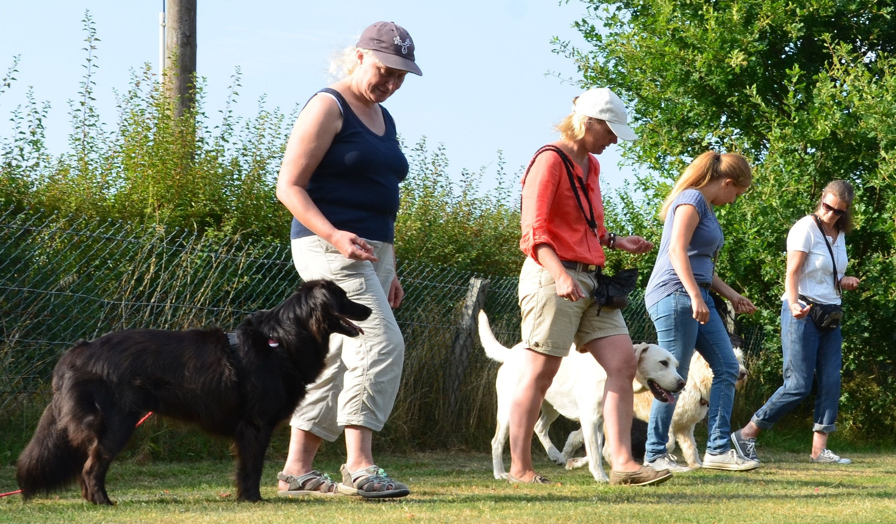 Angela Dolma - DOG`S ACADEMY - Die Schule für Sie und Ihren Hund