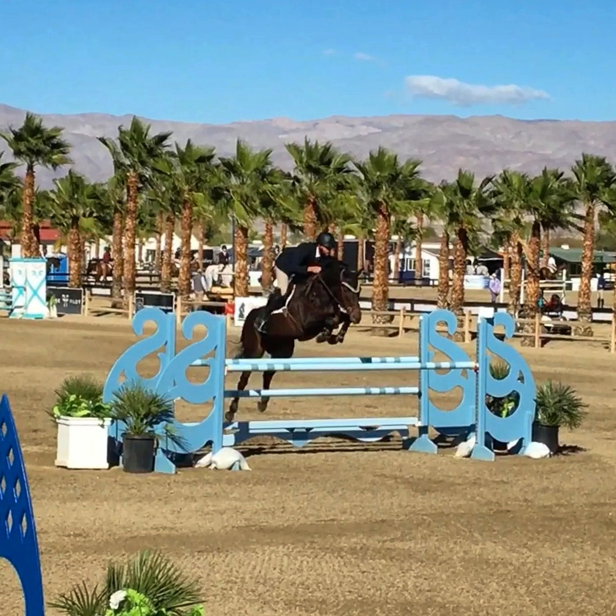 2021 Calendar - sl-equestrian