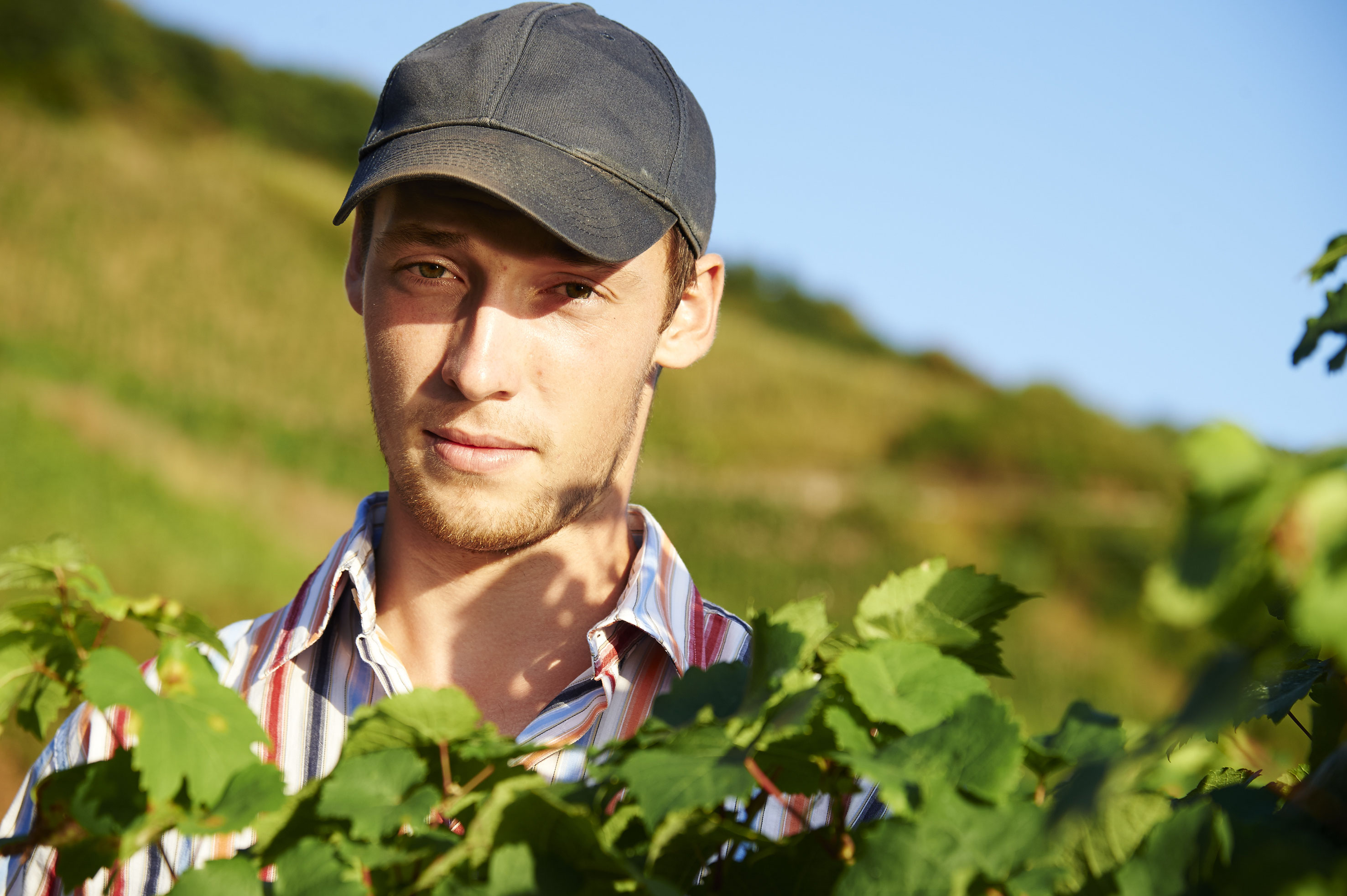 Der Wein - Weingut Daniel Anker