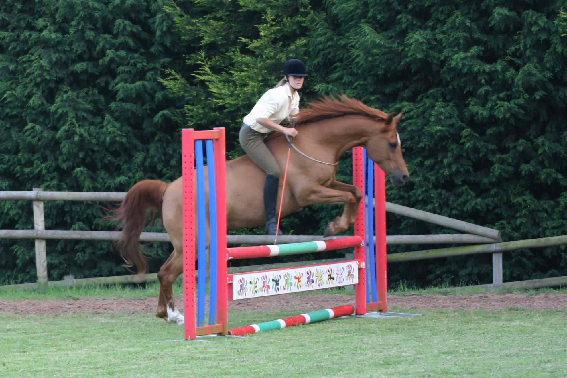 Licensed 4* Parelli Horse Training - Senior Instructor Rachael Shawyer ...