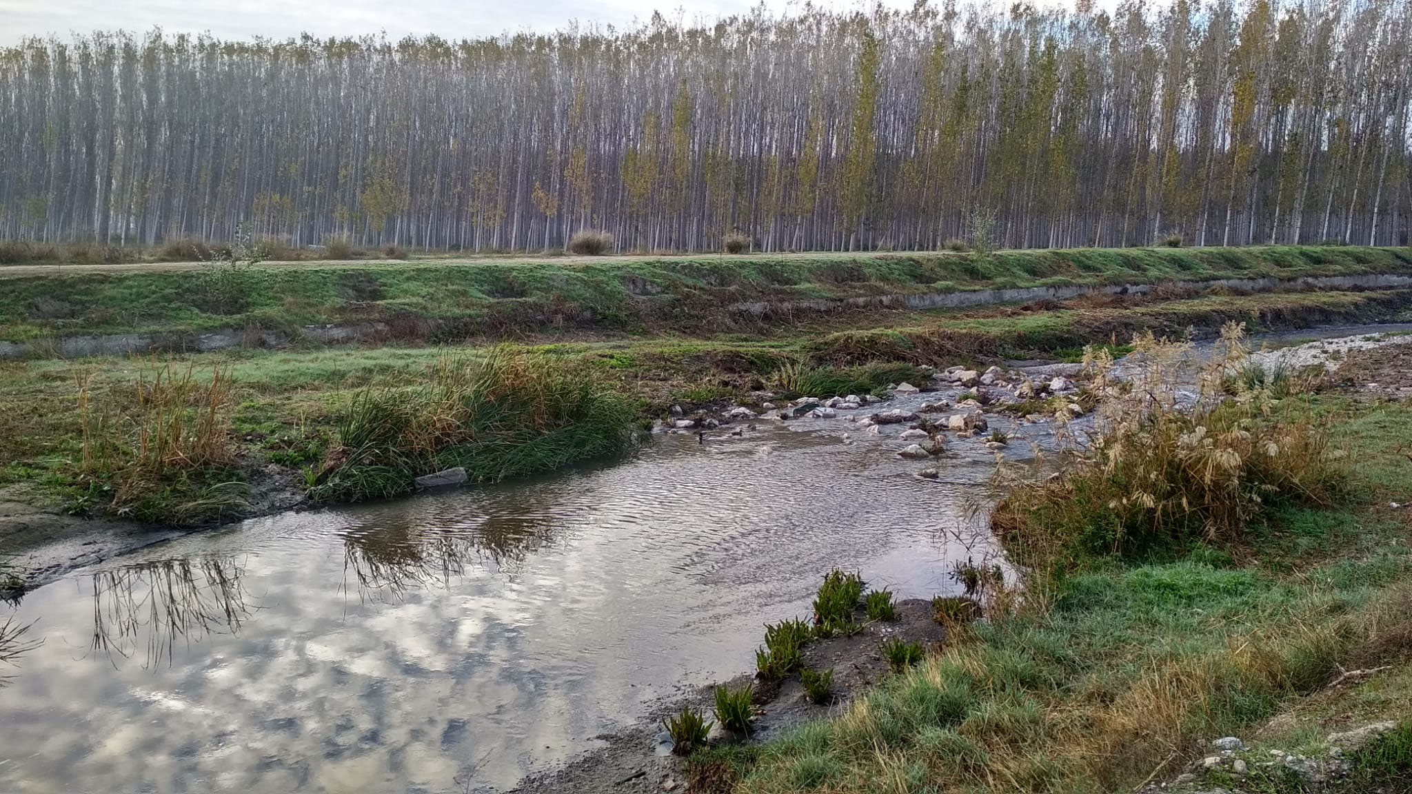 río genil - Página web de custodialosriosdegranada