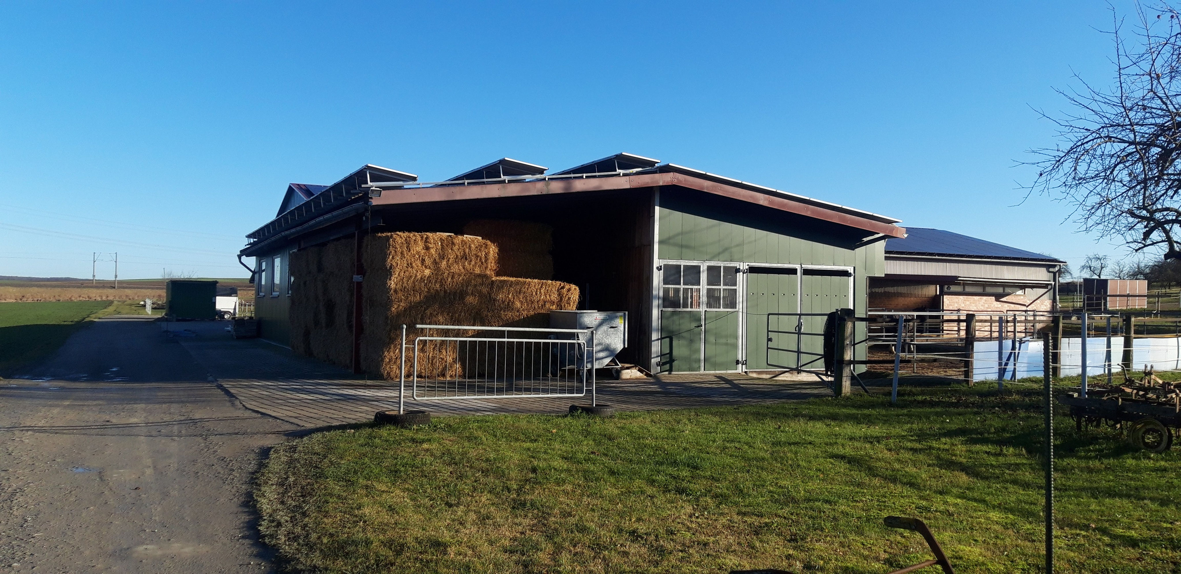 Herzlich Willkommen auf der Webseite des Zucht und Reitstall Lang.Wir ...