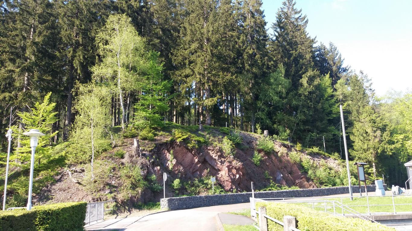 Rennsteig-Marathon - angelika-und-roland-laufens Webseite!