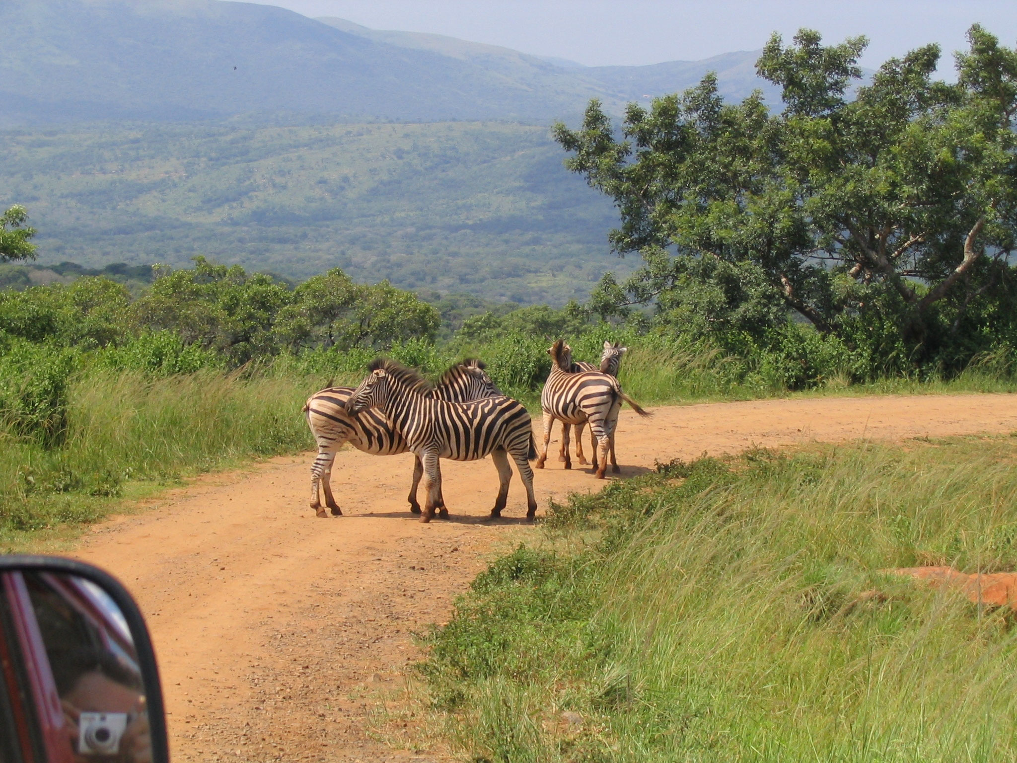 Hluhluwe-iMfolozi National Park - Südafrika Reiseportal