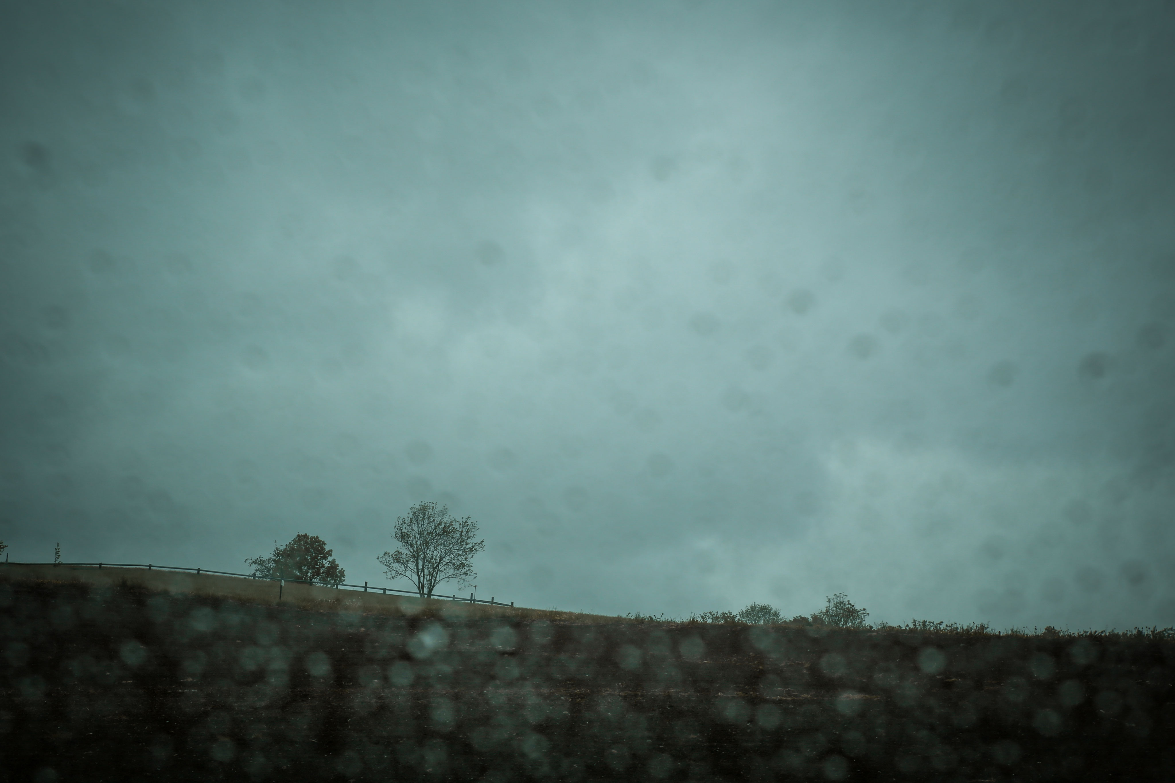 TODD HIdo - divefos Webseite!