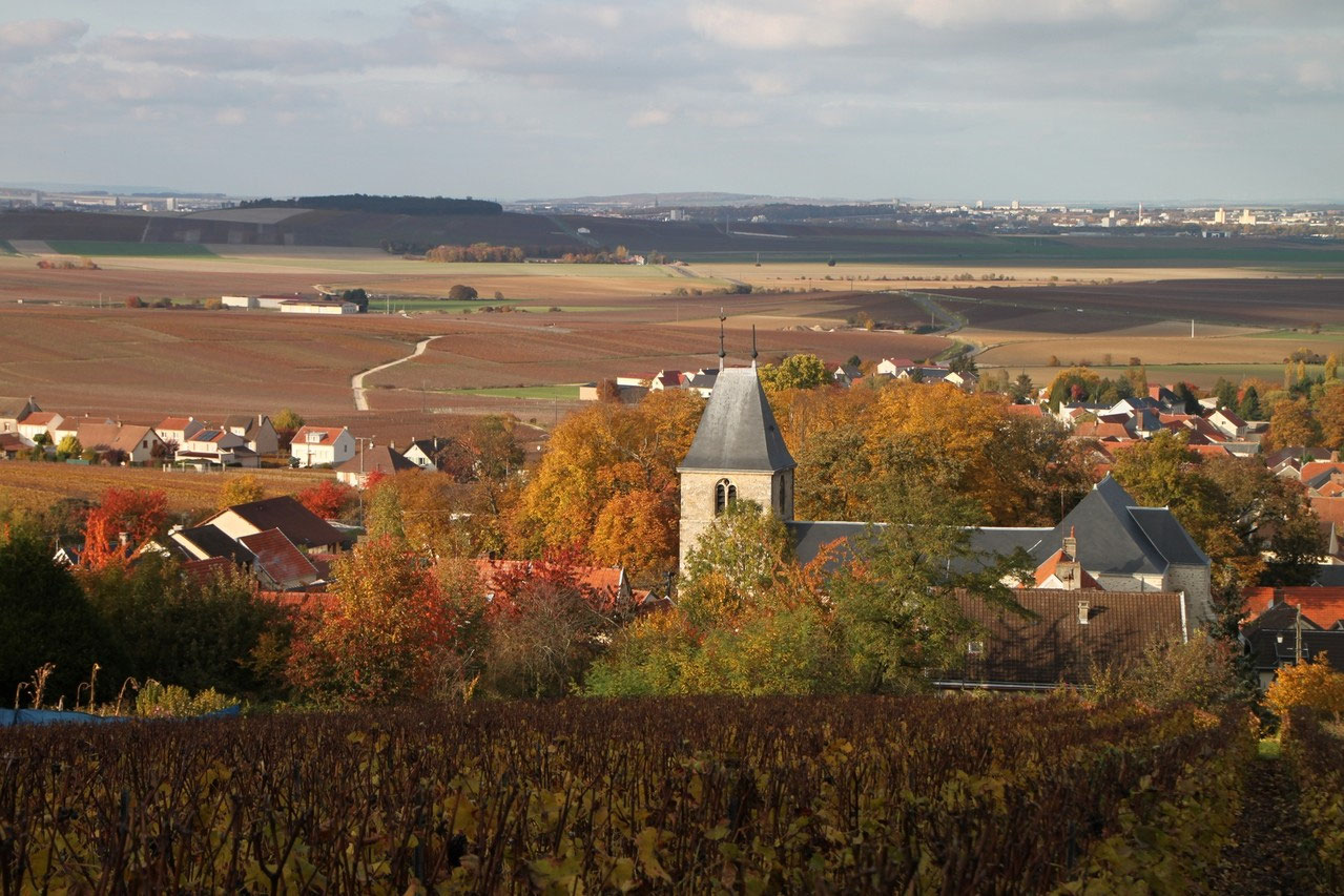 Ludes - Bienvenue à Ludes "Le Coquet"