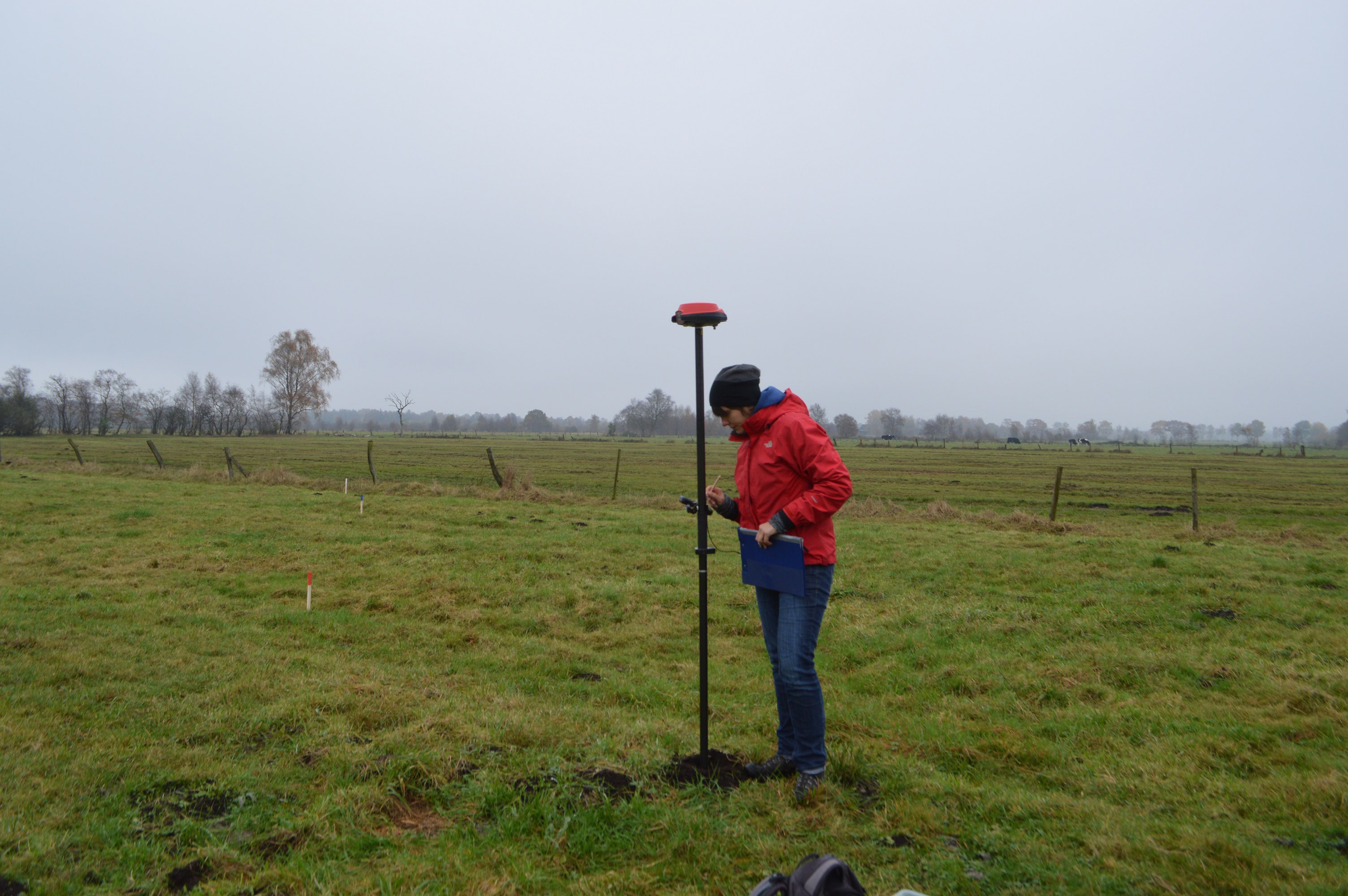 Optimoor in bildern - optimoors Webseite!