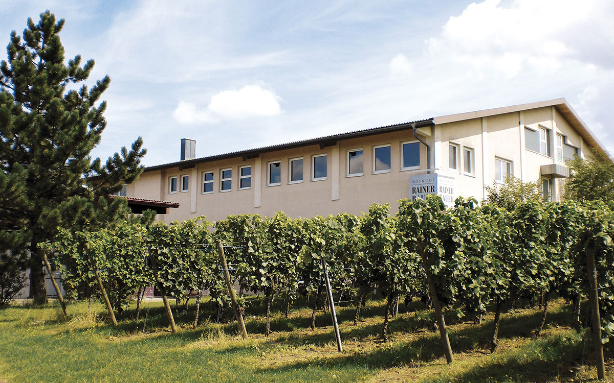 Über uns - Weingut Rainer Bauer