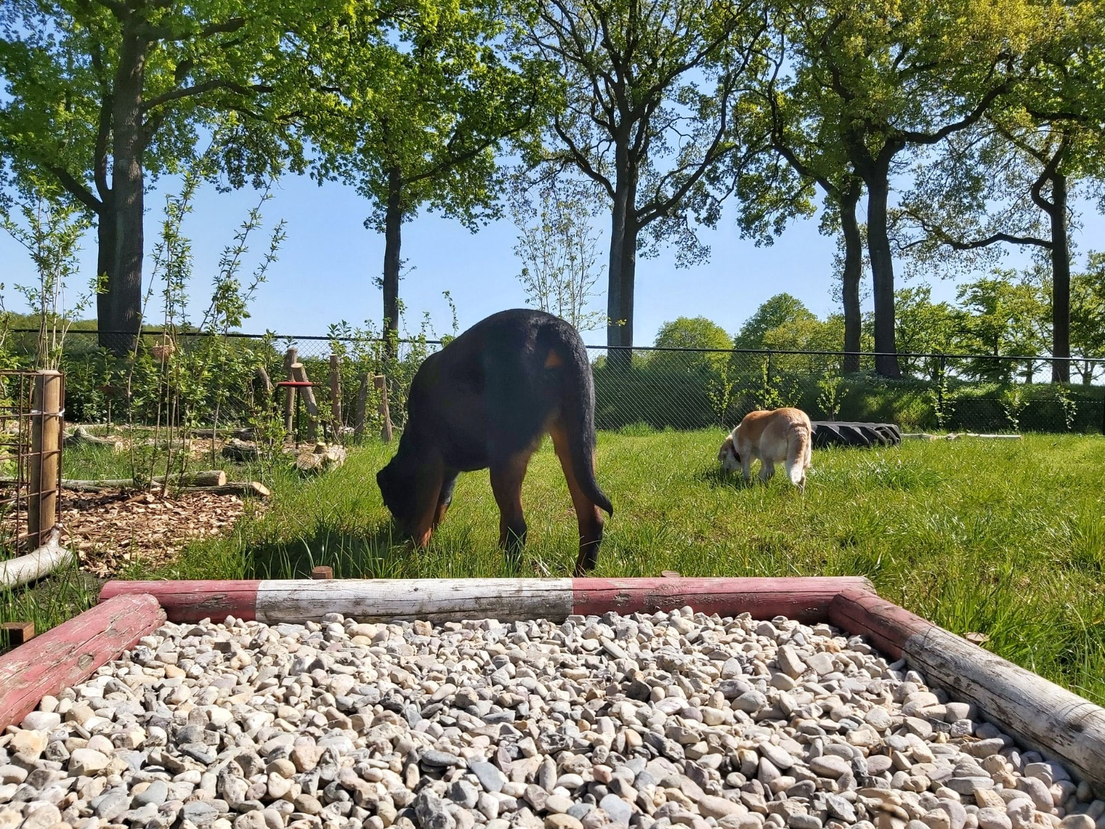 Friesland - Noordwolde - Zuid - De website van snuffeltuinen!