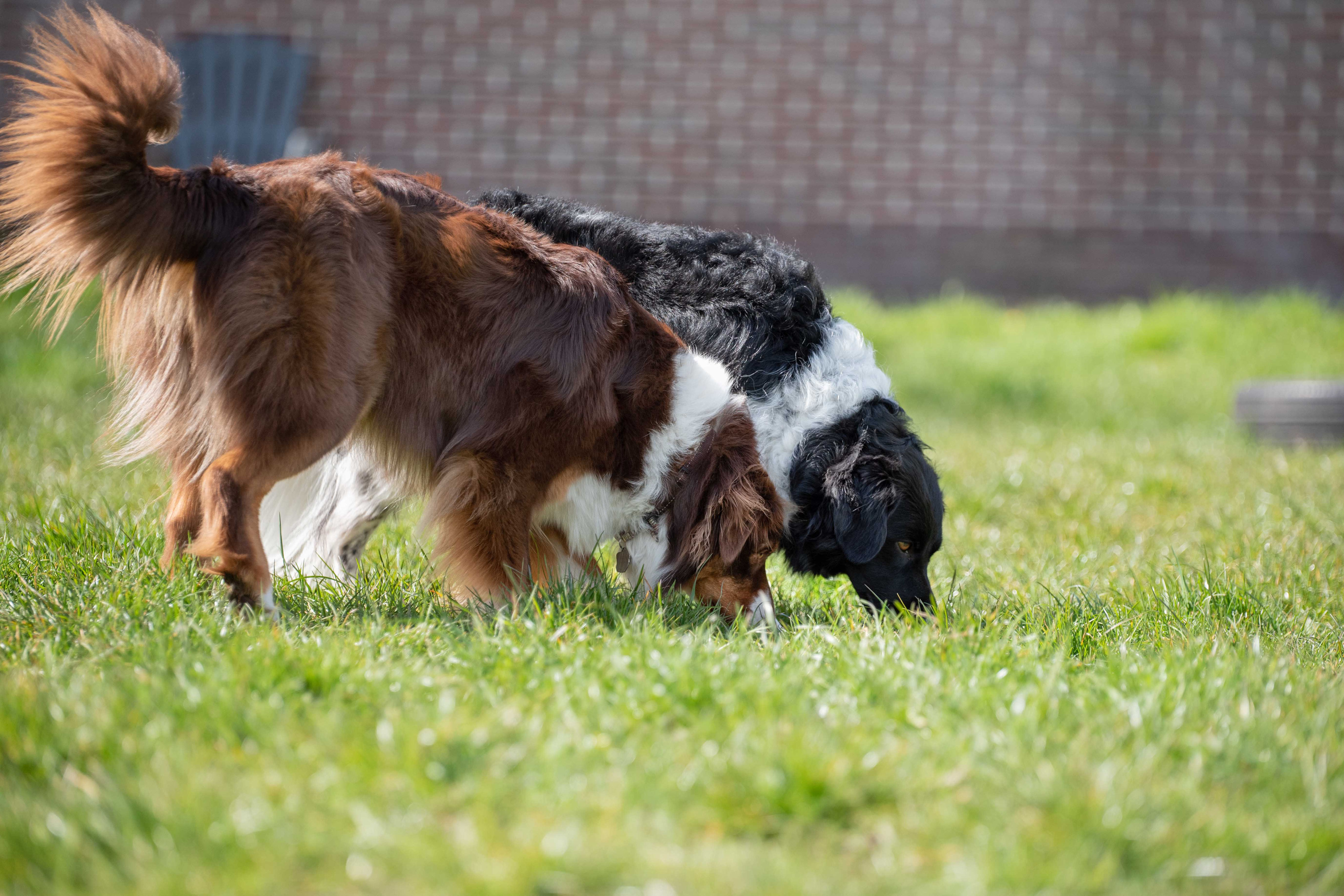 Brabant - Odiliapeel - De website van snuffeltuinen!