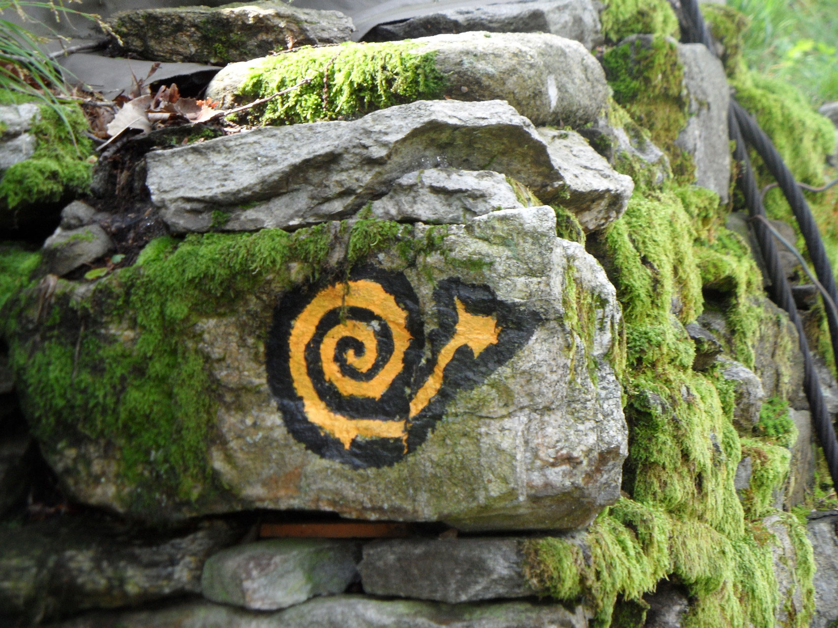 CD's von Suniti - Website of suniti!