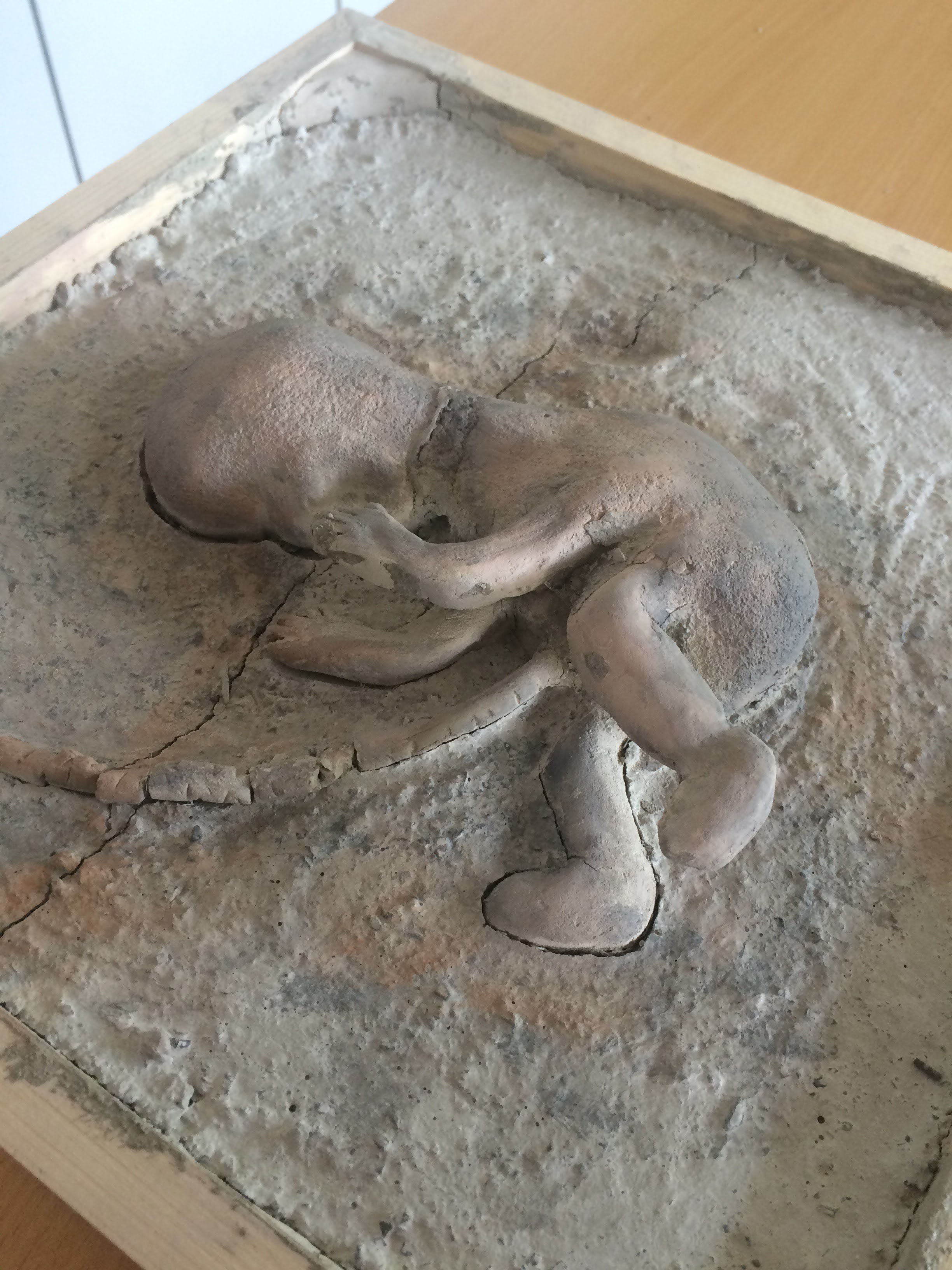 BETON-ART-AWARD - ekrkunsts Webseite!