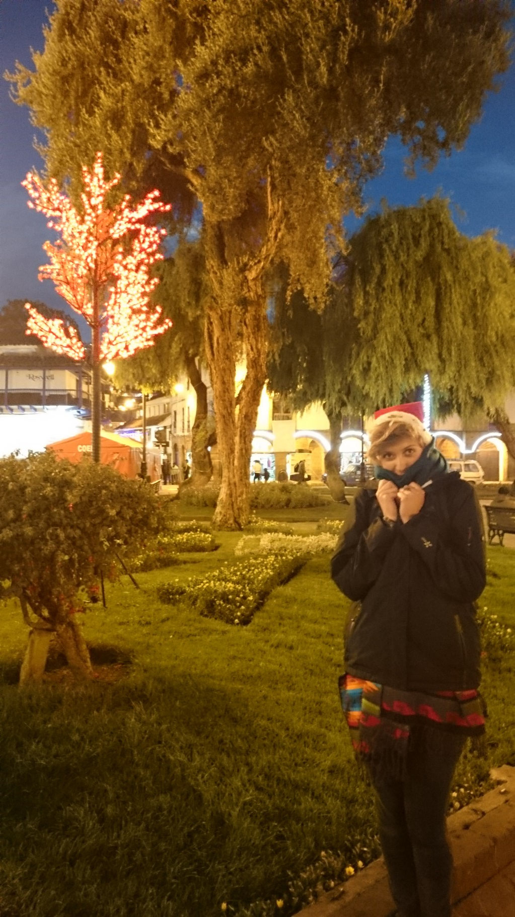 Peruvian Christmas - A german girl on the road to...