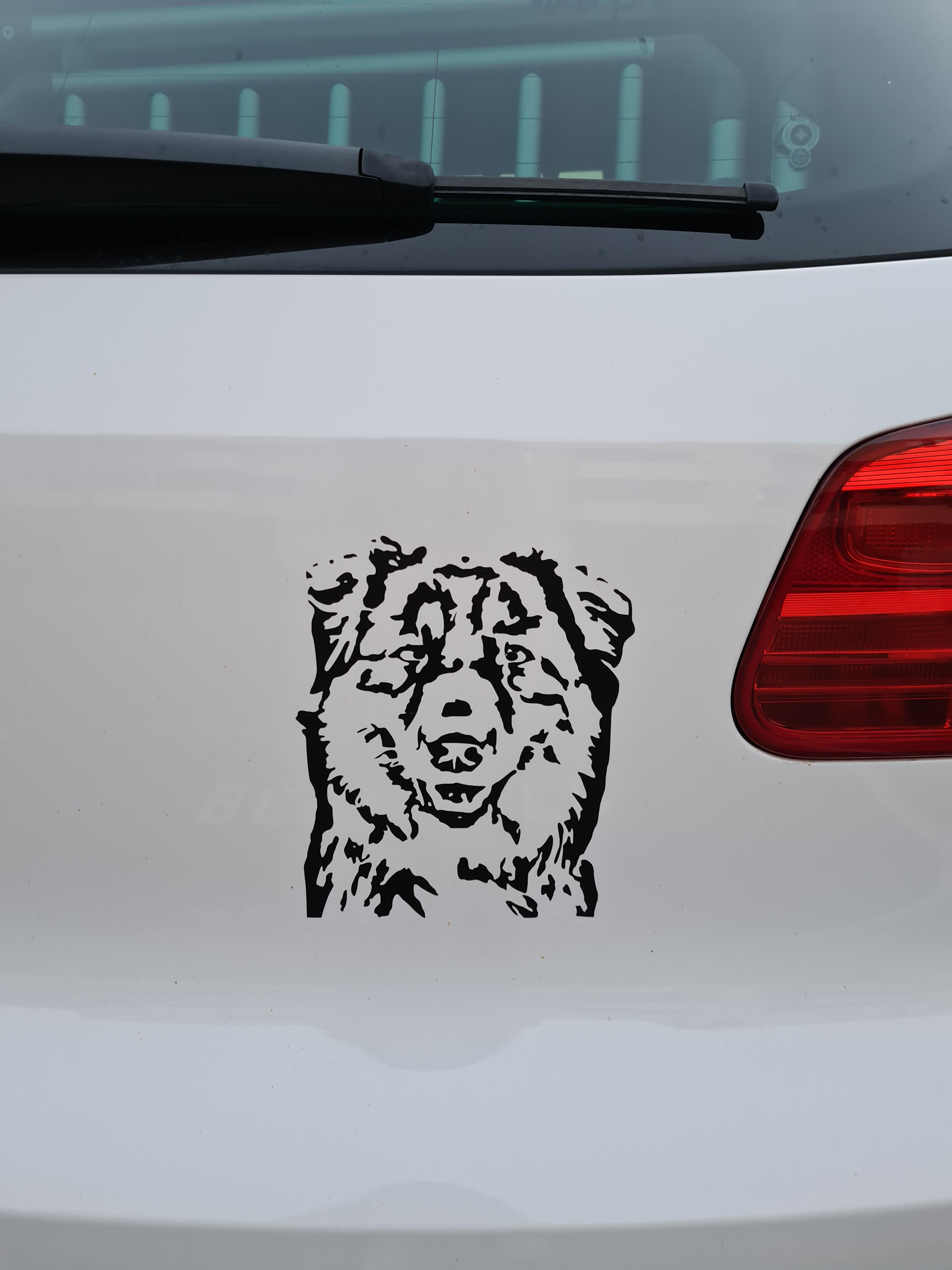 Autoaufkleber - harz-auf-vier-pfotens Webseite!