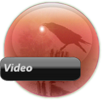 The Isisian Codes - Video - blackbird9 trading posts