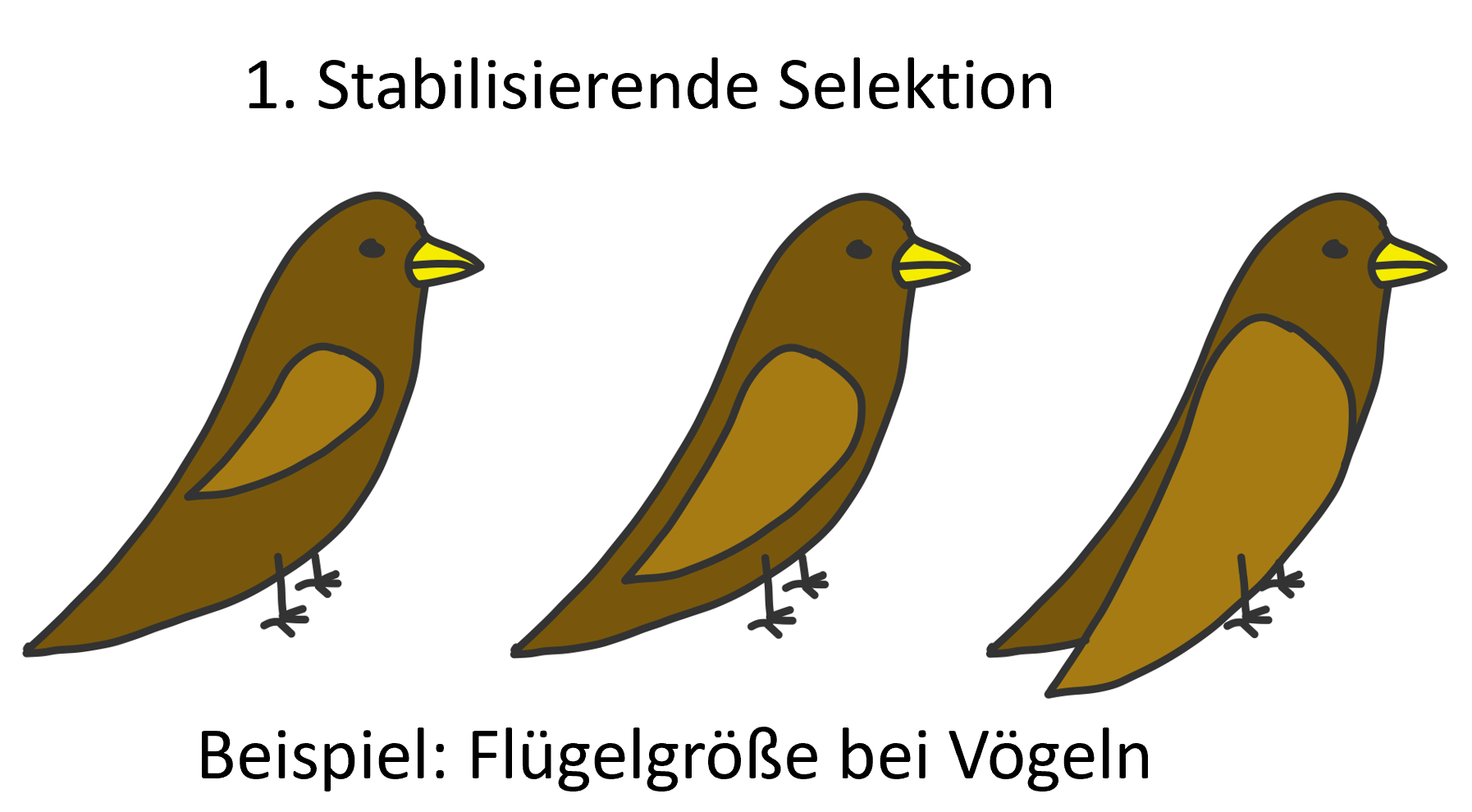 6. Evolution - Biologie-Unterricht im digitalen Zeitalter