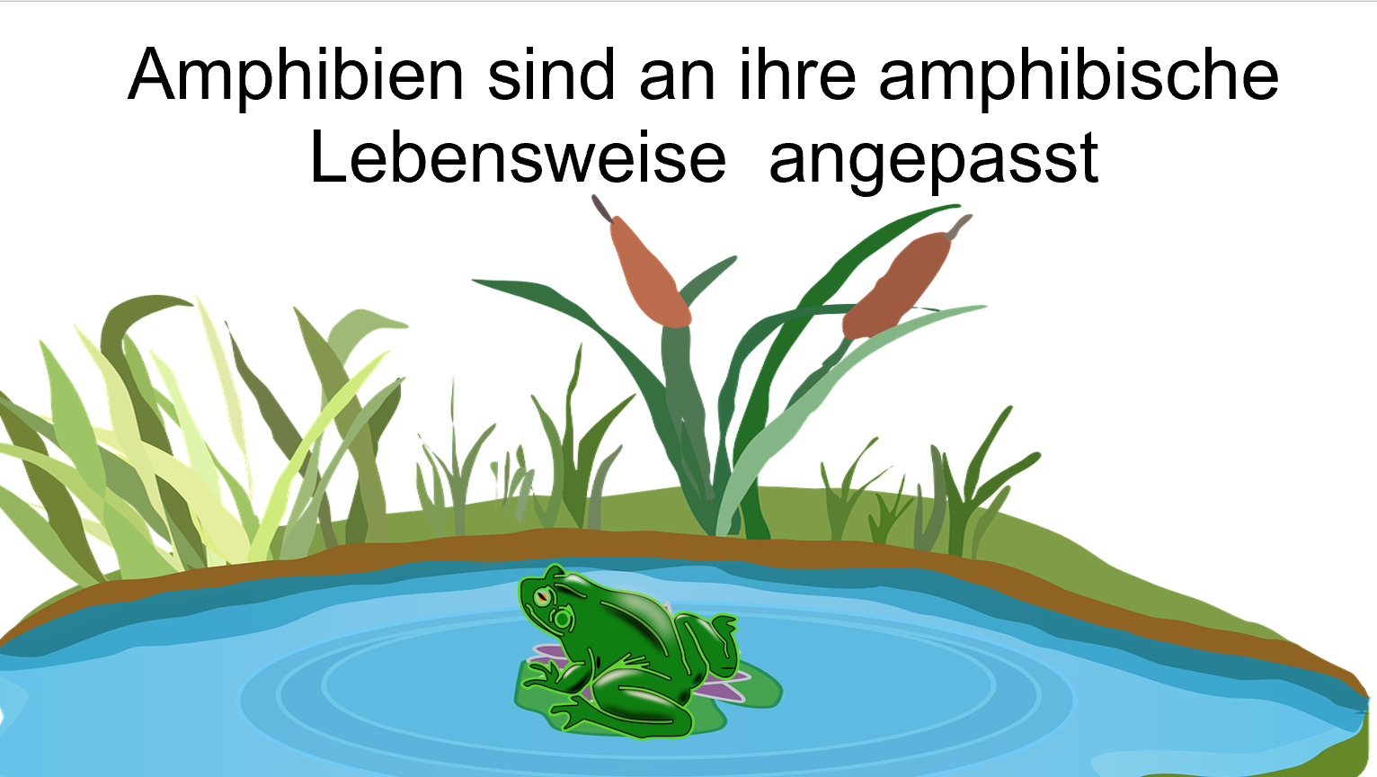 2.5 Amphibien und Reptilien - Biologie-Unterricht im digitalen Zeitalter