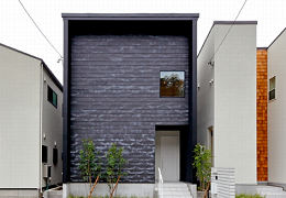 Introducing a Shareholder Special Benefit conduct company - 8904 ...