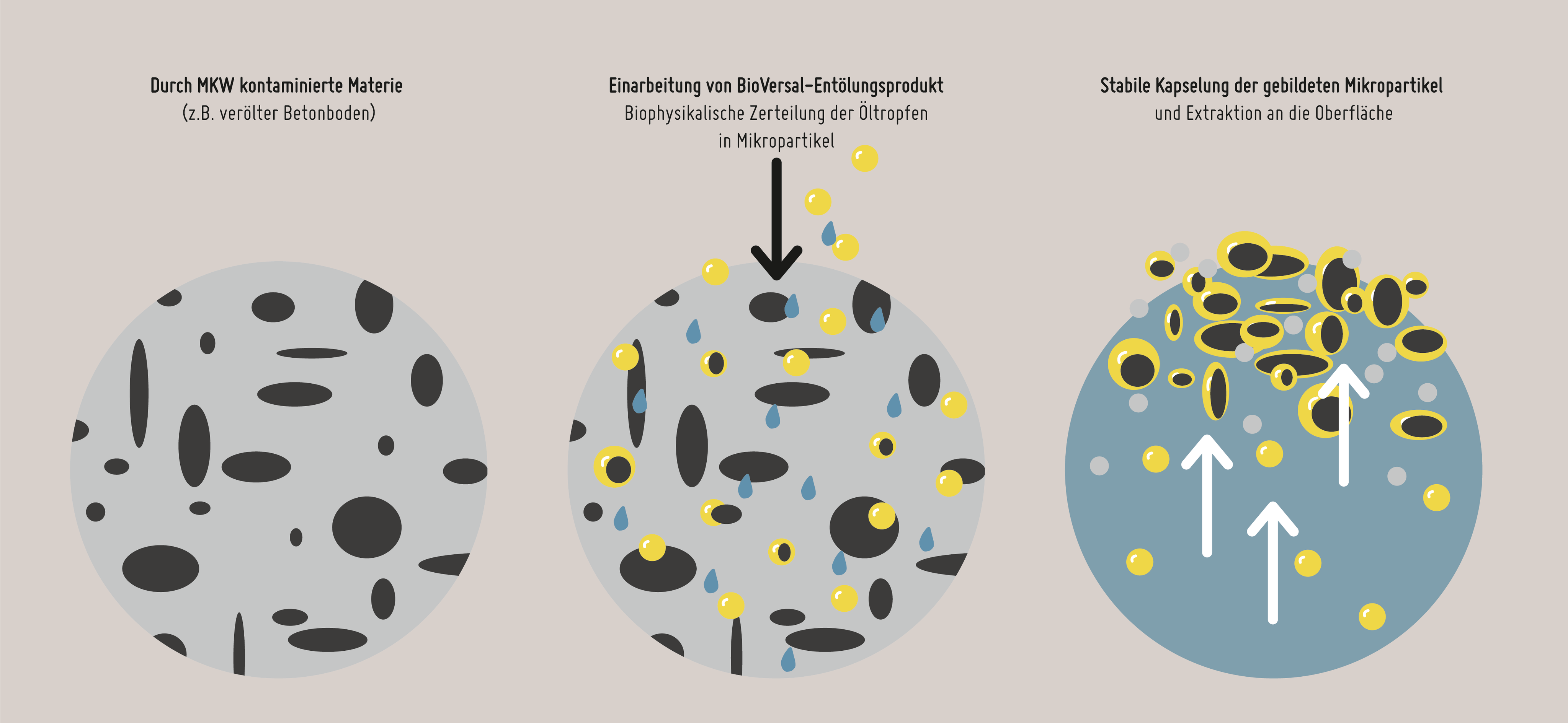 Wirkungsweise von BioVersal - BioVersal Deutschland GmbH