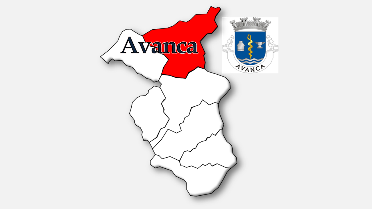 FREGUESIAS DO CONCELHO DE ESTARREJA - Distrito de Aveiro