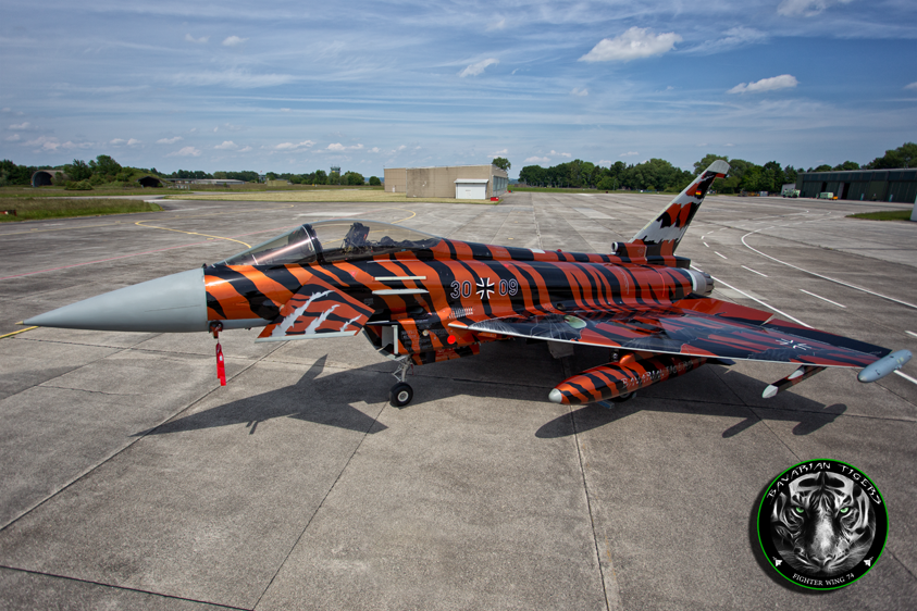 THE BIRTH OF THE FIRST COMPLETE PAINTED TIGER FIGHTER - WORLDWIDE ...