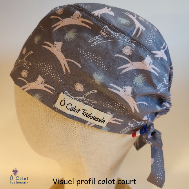 Calot Chat - O Calot Toulousain