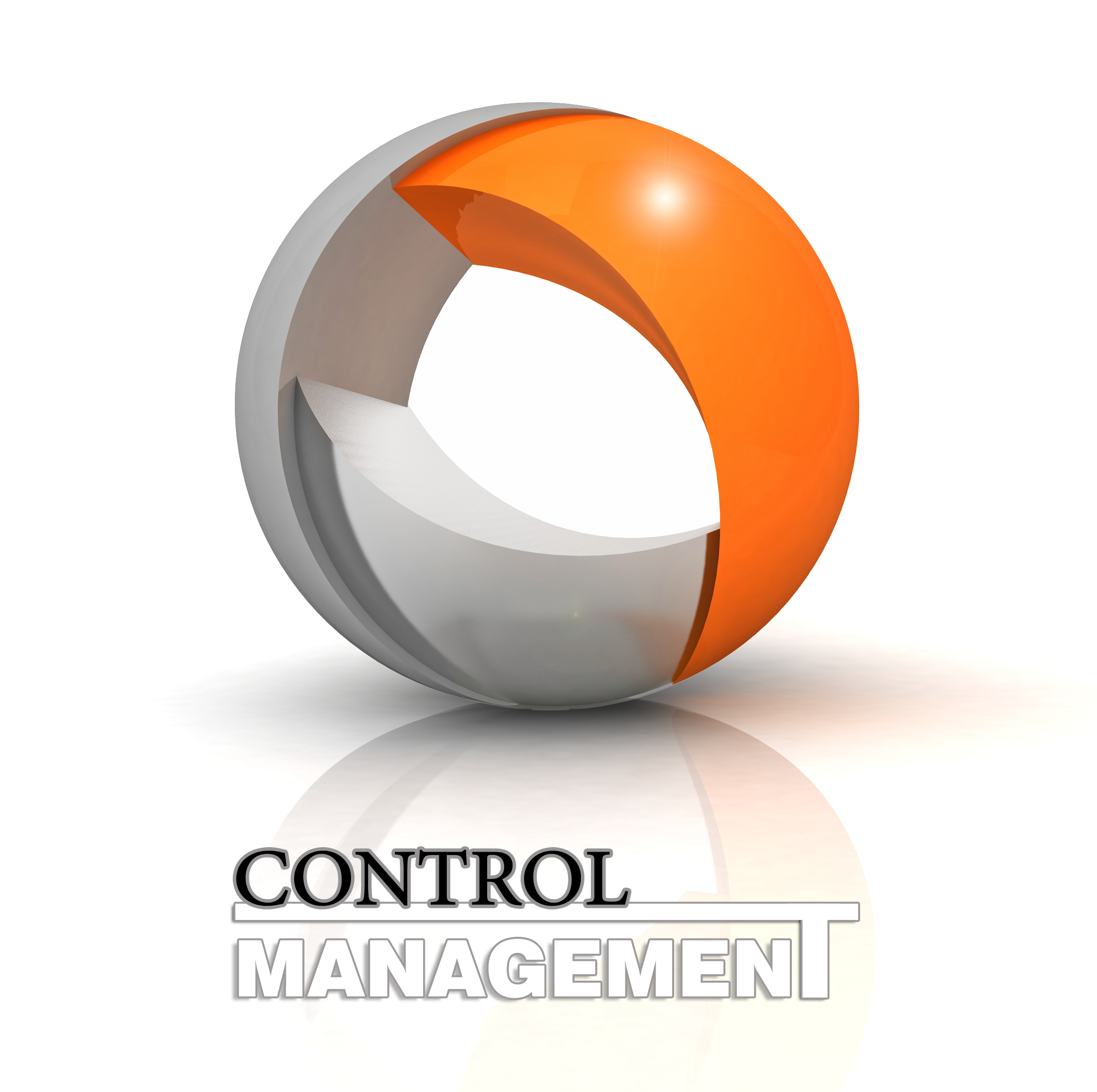 Logos CONTROL MANAGENT (Software Ingenieria) & POLIPLASTIK (Insumos ...