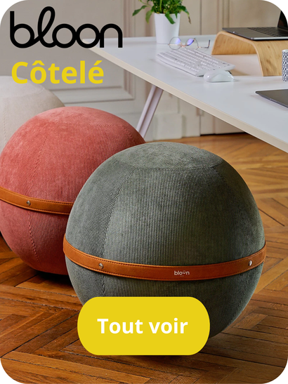 Balle d'assise BLOON ® - Siège ballon - ERGOaccessoires.com - 09 71 48 ...