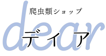 【新入荷】 - reptile-shop-dear ページ！