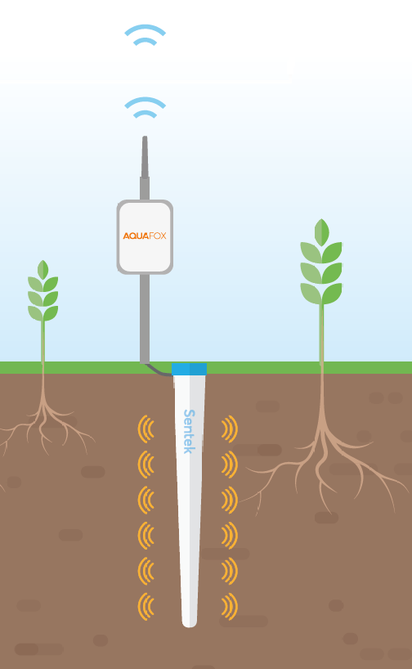 Sonde capacitive Sentek Drill & Drop + Aquafox - Agralis Services