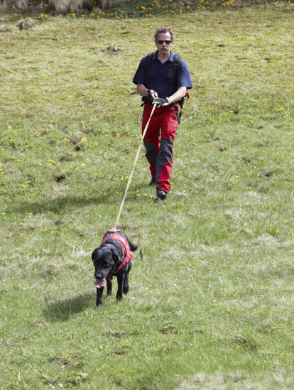Mantrailing - dog@work