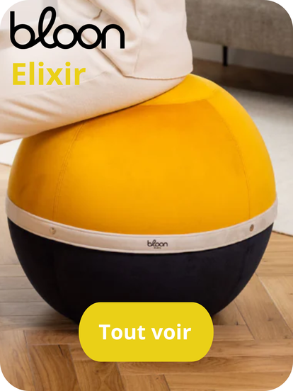 Balle d'assise BLOON ® - Siège ballon - ERGOaccessoires.com - 09 71 48 ...