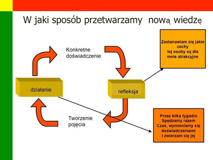 Style uczenia wg Dawida Kolba-lekcje dostosowane do potrzeb uczniów ...