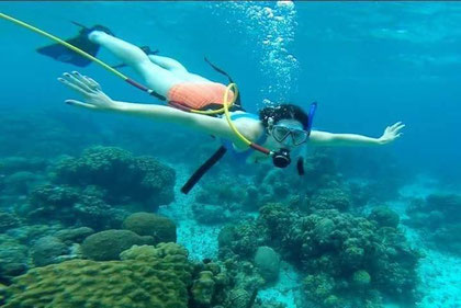 scuba diving Snorkeling Varadero Cuba - Diving Varadero and Havana Cuba ...