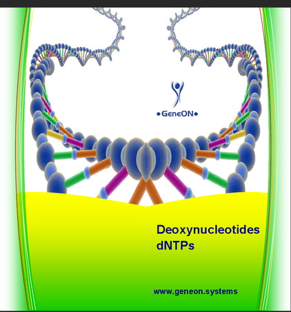 Nucleotides, dNTP bundle set, dNTP Mix, - GeneON BioScience