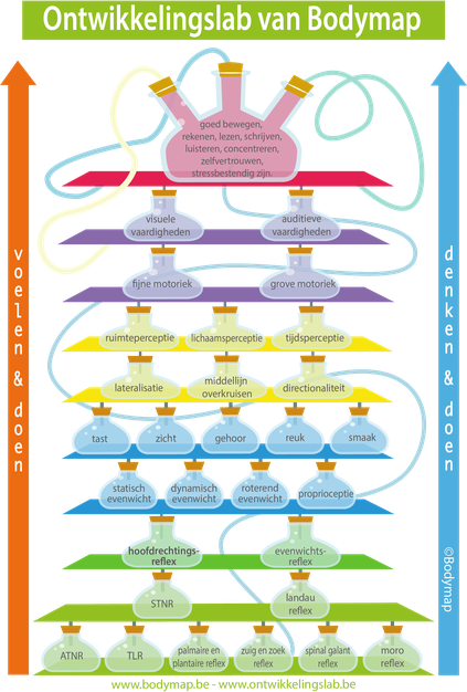 Het Ontwikkelingslab van Bodymap - Bodymap