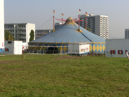 Dresden 2015 - circus-gastspiele