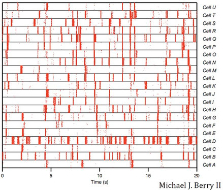 Computational-NeuroScience : Week2 - 知識のサラダボウル