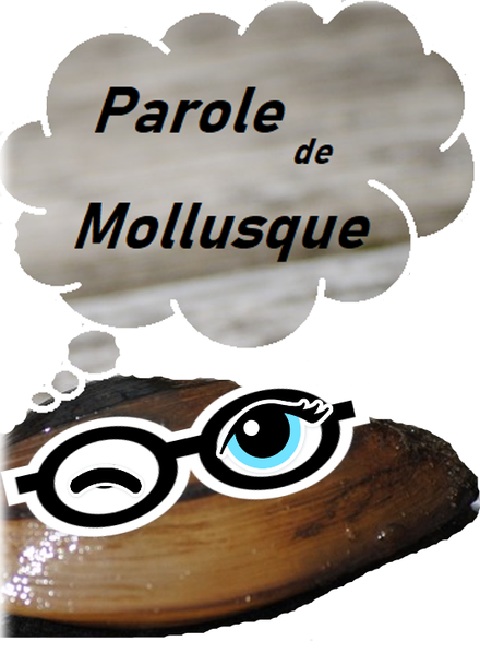 MOLLUSQUE - Parole de Mollusque