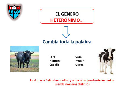 PALABRAS HETERÓNIMAS - Página web de clasificacionpalabrasnoveno