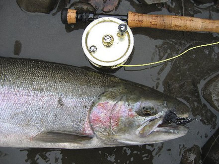 Kispiox River - Steelhead Journal